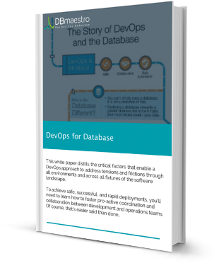 The critical part of the Database in a DevOps process